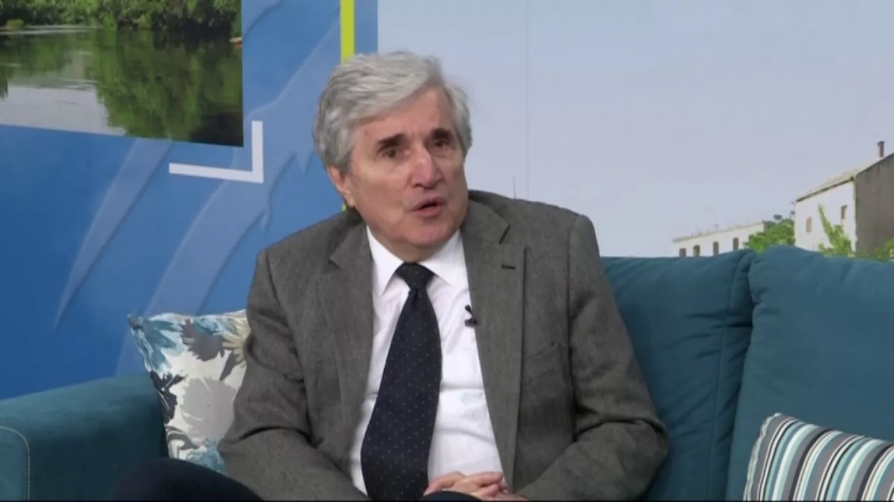 Academic Mahmutcehajic: Izetbegovic wants to make Bosniaks his tribe