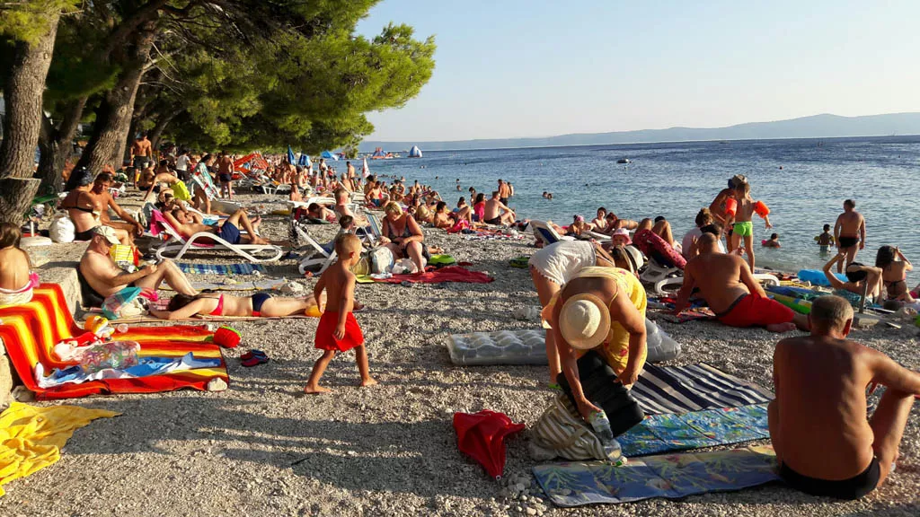 Panika na hrvatskim plažama, stručnjaci pak tvrde da meduze koje su se ...