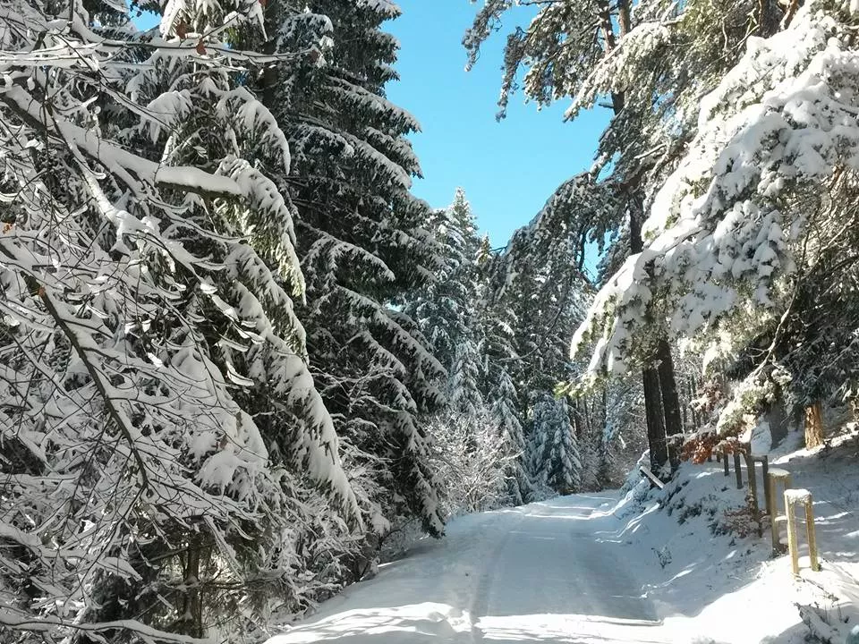 Trebević prekriven snijegom izgleda kao iz bajke