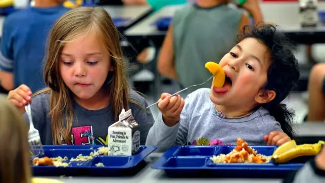 SAD žele smanjenje soli i šećera u školskim obrocima